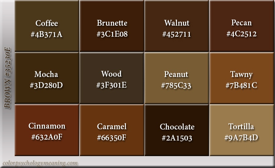 Meaning Of Color Brown Symbolism Psychology Personality