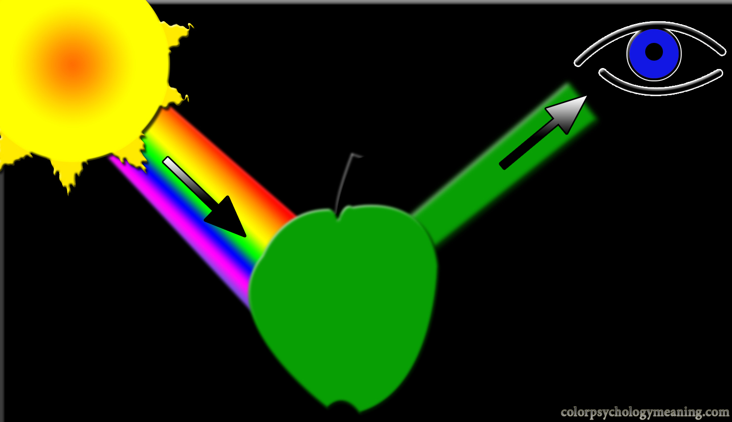How the Brain and Eyes Interpret Color