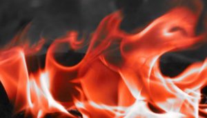 Things that are Red in Nature