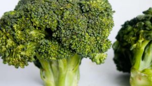 Things that are Green in Nature
