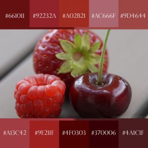 Shades of Red & Names with HEX, RGB Color Codes