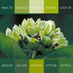 Shades of Green & Names with HEX, RGB Color Codes