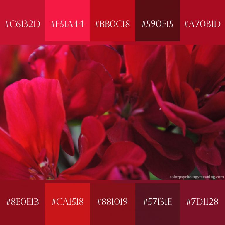 Shades of Red & Names with HEX, RGB Color Codes