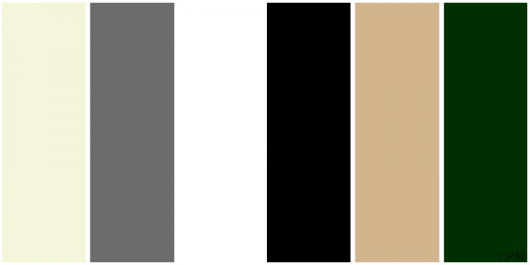Color Beige - Meaning & Psychology