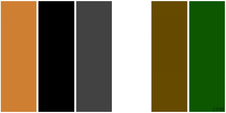 Color Bronze - Meaning & Psychology