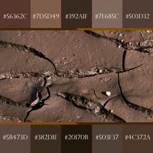 Shades of Brown & Names, with HEX, RGB Color Codes