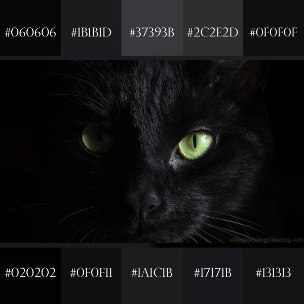 Shades of Black & Names with HEX, RGB Color Codes