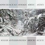 Shades of White & Names with HEX, RGB Color Codes