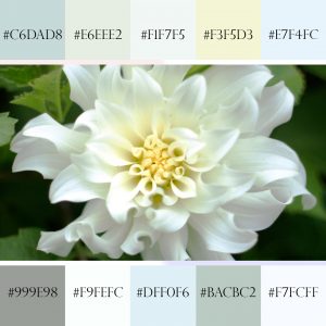 Shades of White & Names with HEX, RGB Color Codes