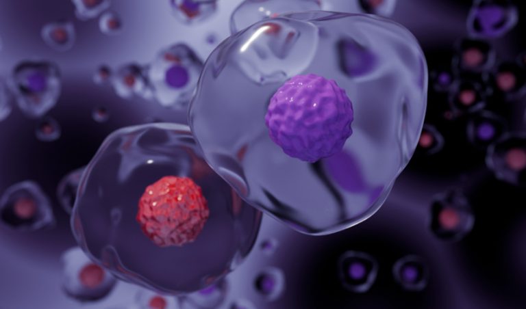 Do Cells Have Different Colors?